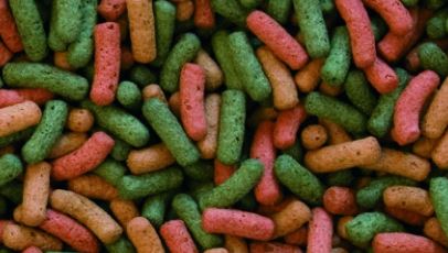 Hikari Turtle Sticks – indianaquarium.com