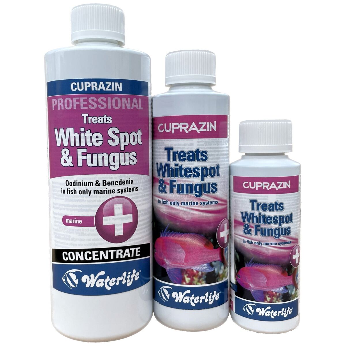 Waterlife Cuprazin - Copper Medication for White Spot & Fungus ...