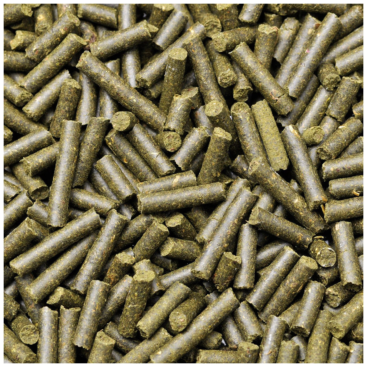 Dennerle Shrimp King Complete Shrimp Food – indianaquarium.com