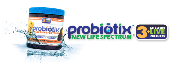 New Life Spectrum Probiotix Probiotic Fish Food – indianaquarium.com