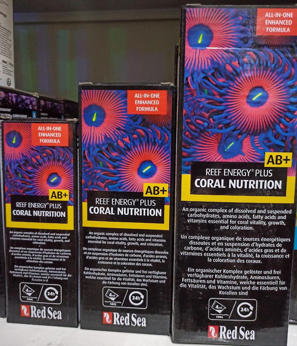 Red Sea Reef Energy Plus AB+ | All-In-One Coral Superfood ...